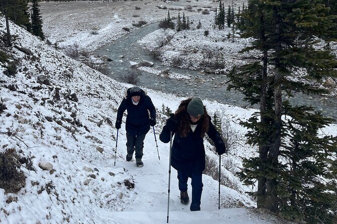 Private Guided Hike: Adventure & Wellness in Banff - Practical Details & Value for Money