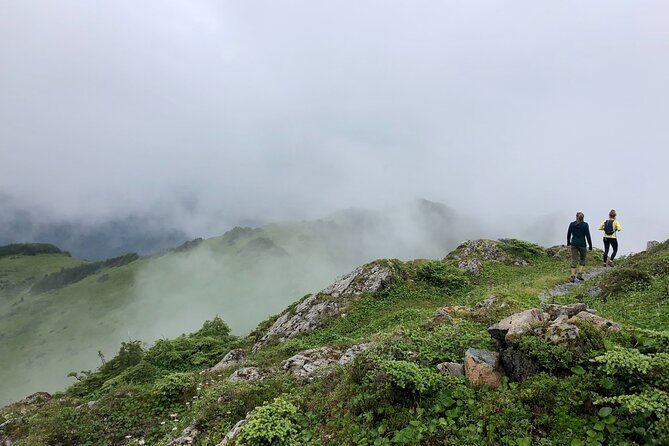 Private Guided Hike in Sitka, Alaska - Authentic Experiences and Real Reviews