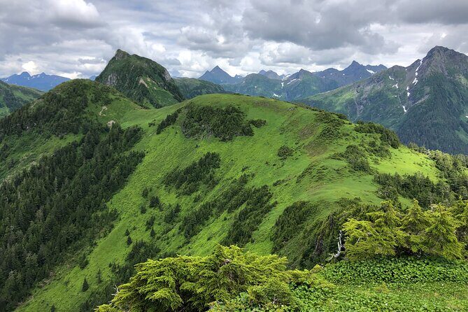 Private Guided Hike in Sitka, Alaska - The Sum Up