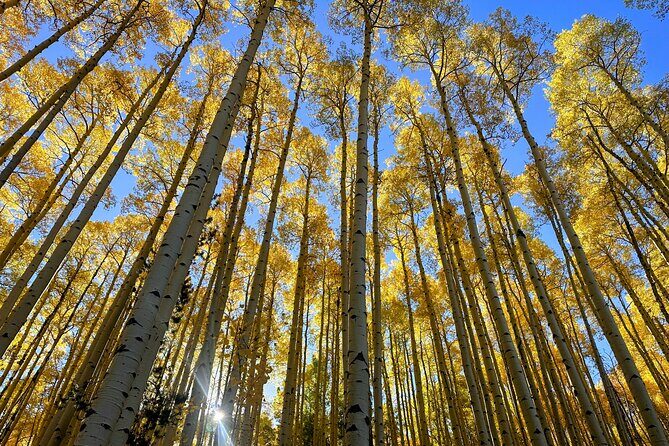 Private Guided Hiking & Sightseeing Tour from Denver - Final Thoughts