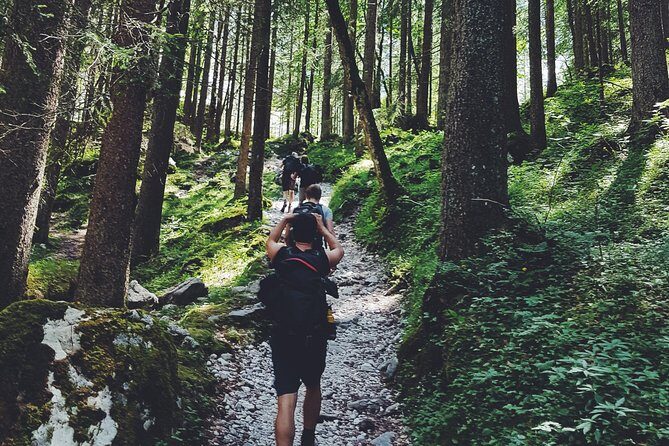 Private Guided Hiking Tour - Sequoia National Park - Summary: Is This Tour Worth It?