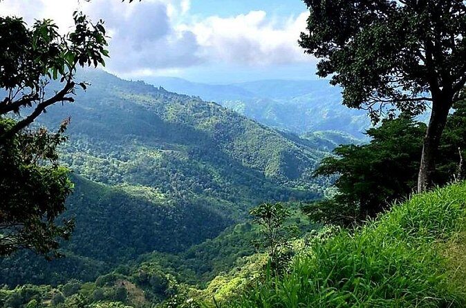 Private Guided Hiking Tour to the Blue Mountains - Frequently Asked Questions