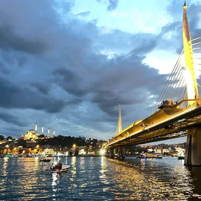 Private Guided Istanbul City Tour with Transfers - Who Should Consider This Tour?