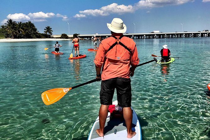 Private Guided Kayak or SUP Eco Adventure - An In-Depth Look at the Biscayne Bay Eco Adventure