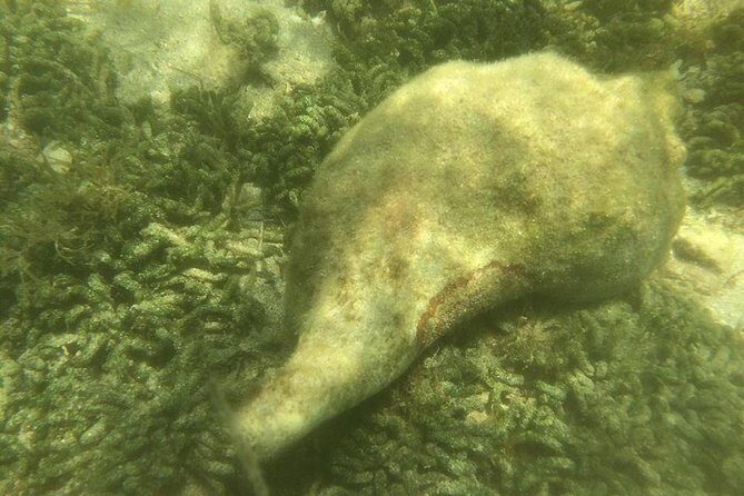 Private Guided Kayak or SUP Eco Adventure - FAQ