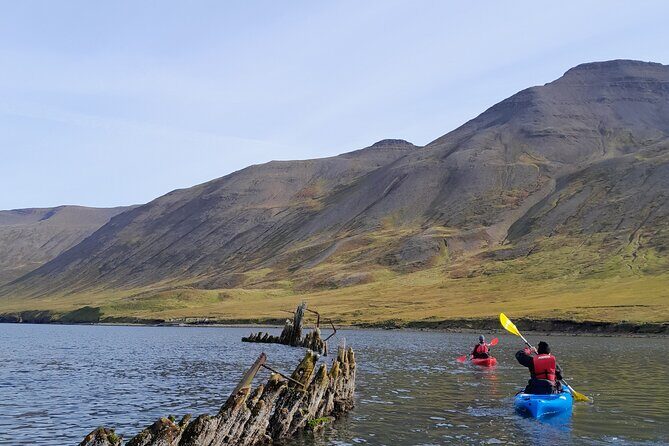Private: Guided kayak tour in Siglufjörður / Siglufjordur. - Introduction: The Charm of a Private Kayak Adventure