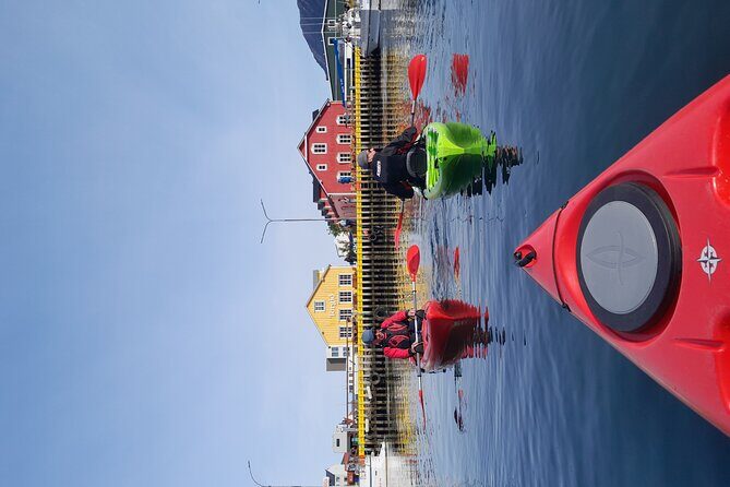 Private: Guided kayak tour in Siglufjörður / Siglufjordur. - Practical Details: Planning Your Paddle