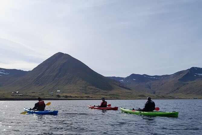 Private: Guided kayak tour in Siglufjörður / Siglufjordur. - Who Should Book This Tour?