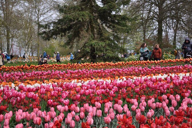 Private Guided Keukenhof Gardens and Zaanse Schans Tour - Who Will Love This Tour?