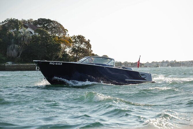Private Guided Luxury Cruise on Sydney Harbour Tour - The Sum Up: Who Will Love This Experience?