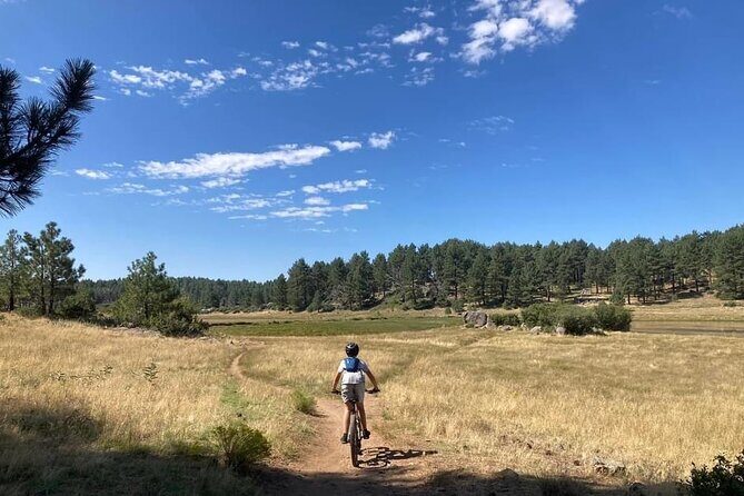 Private Guided Mountain Bike Lesson in San Diego Mountains - Detailed Breakdown of the Itinerary