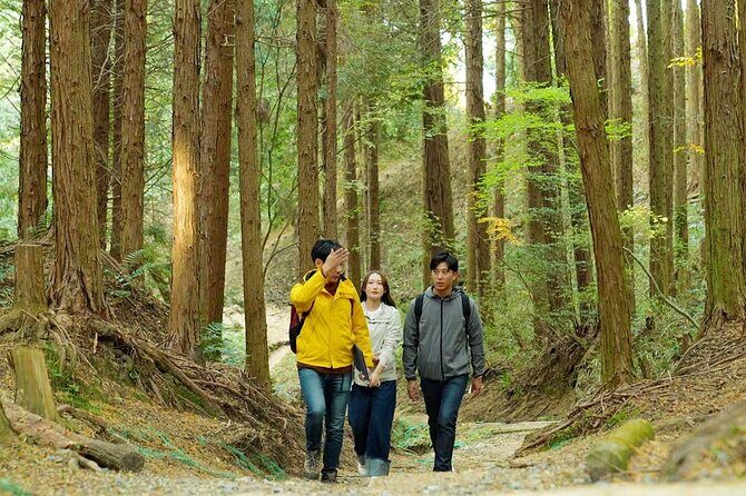 Private Guided Mt. Kunimi Trek - Exploring the Private Guided Mt. Kunimi Trek: A Balanced Look