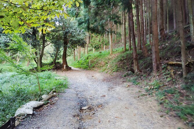 Private Guided Mt. Kunimi Trek - FAQs