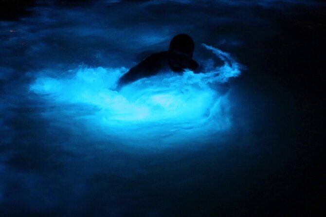 Private Guided Night Tour of Luminous Lagoon in Montego Bay - An Introduction to Jamaica’s Glowing Wonder