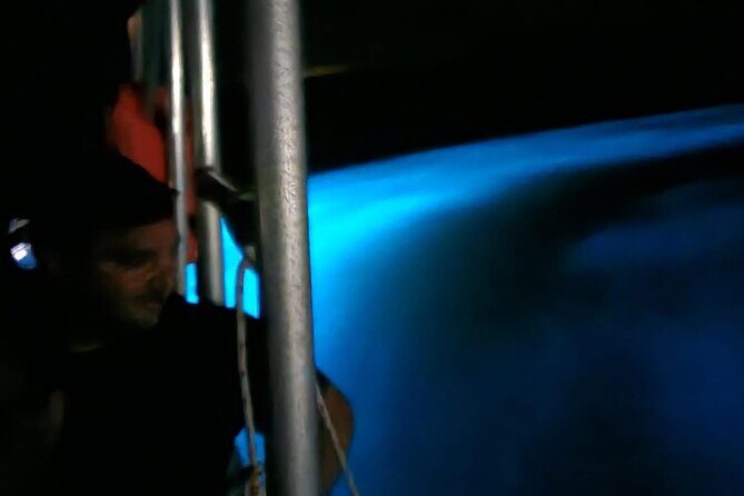 Private Guided Night Tour of Luminous Lagoon in Montego Bay - Authentic Experiences and What Travelers Say