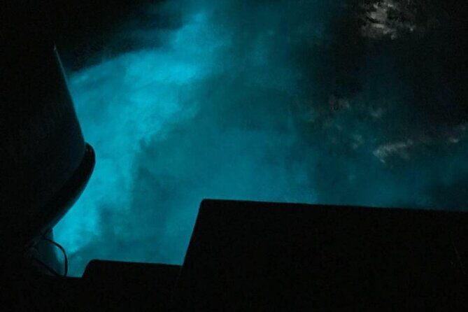 Private Guided Night Tour of Luminous Lagoon in Montego Bay - Who Will Love This Tour?