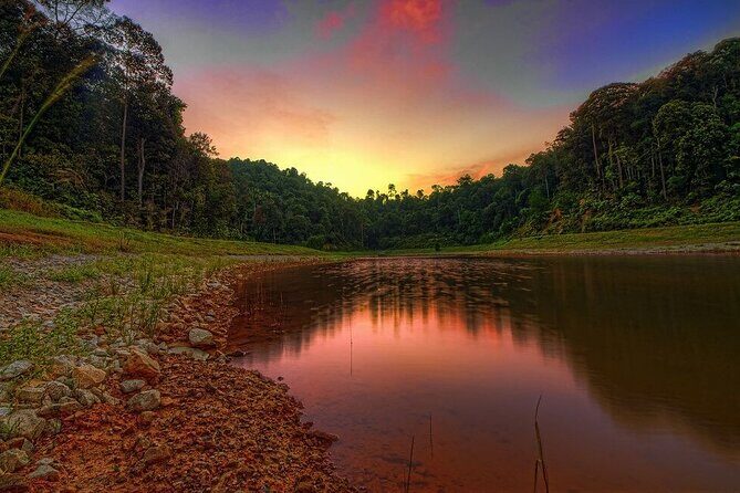 Private guided puncak day tour;Solo;Small Group - An In-Depth Look at the Puncak Day Tour