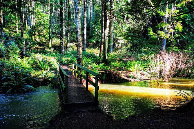 Private Guided Rainforest Hike in Victoria - Who Will Love This Tour?
