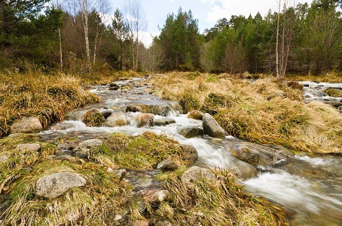 Private Guided Rock Climbing Experience in the Cairngorms - Key Points