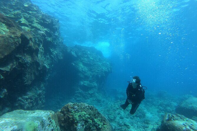 Private Guided Shore Dive - What Makes This Shore Dive Stand Out?