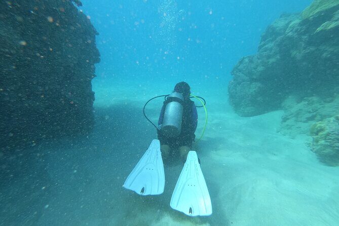 Private Guided Shore Dive - The Logistics: What You Need to Know