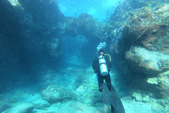 Private Guided Shore Dive - Why Choose a Private Shore Dive?
