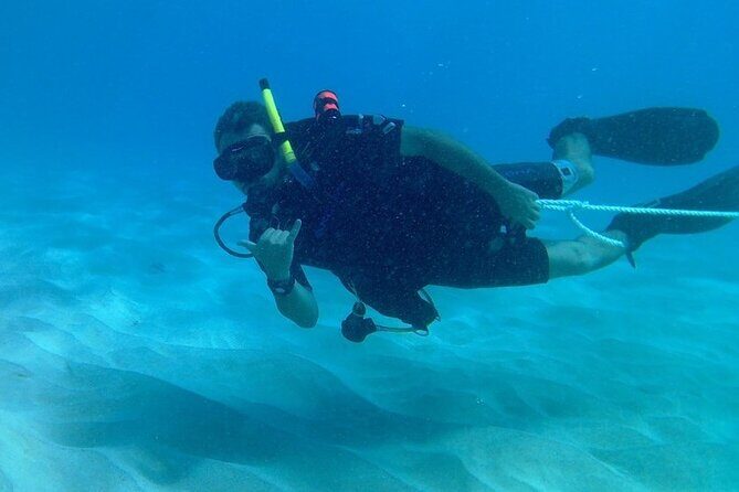 Private Guided Shore Dive - The Sum Up