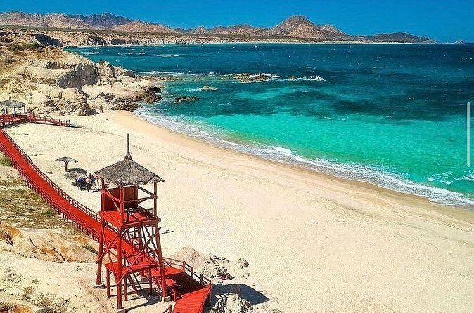 Private Guided Snorkeling Experience in Cabo Pulmo - Who Would Love This Tour?