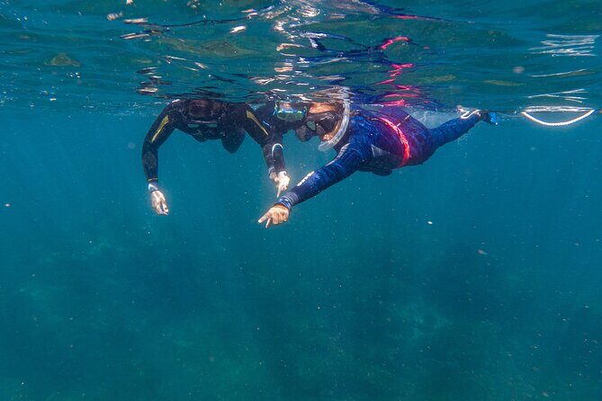 Private Guided Snorkeling in Cabo San Lucas - Pricing and Value
