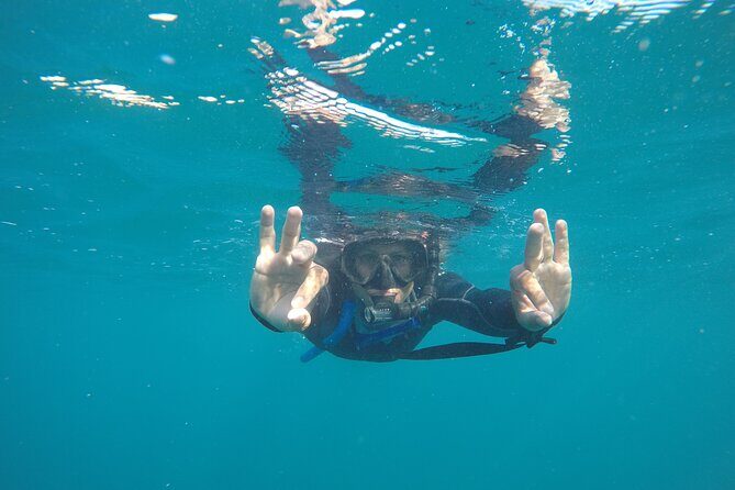 Private Guided Snorkeling in Cabo San Lucas - What Reviewers Say