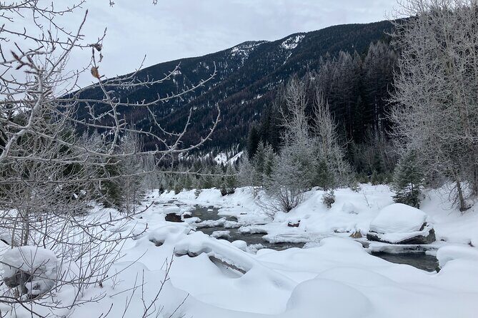 Private Guided Snowshoe Adventure in Glacier National Park - Why Consider a Snowshoe Adventure in Glacier?