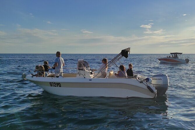 Private Guided Sunset Dolphin Watching in Adriatic Sea - An Introduction to the Experience