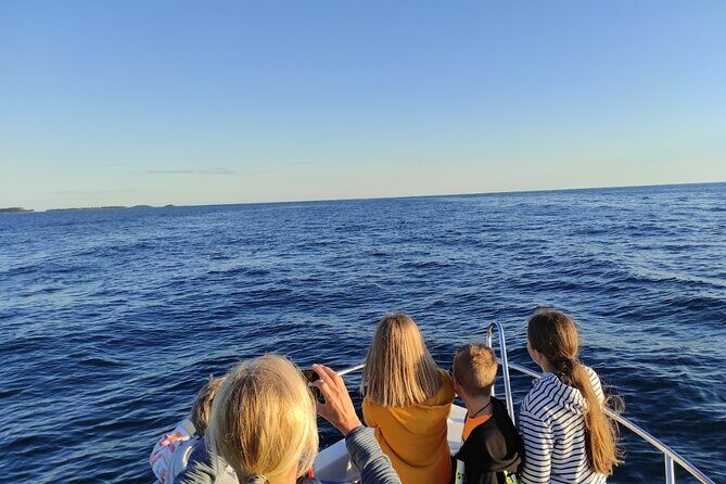Private Guided Sunset Dolphin Watching in Adriatic Sea - Practical Tips for Travelers