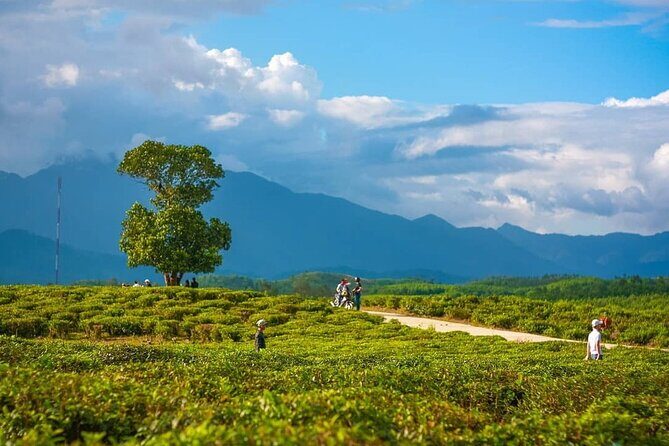 Private Guided Tour: A Spring Day in Dong Giang from Da Nang - Exploring Dong Giang: An Adventure in Nature and Culture