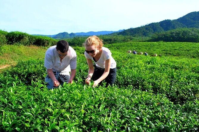 Private Guided Tour: A Spring Day in Dong Giang from Da Nang - Transportation and Duration