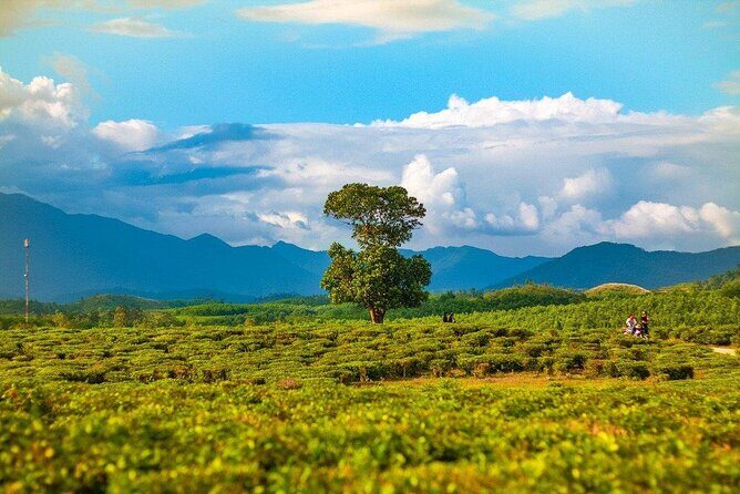 Private Guided Tour: A Spring Day in Dong Giang from Da Nang - The Sum Up