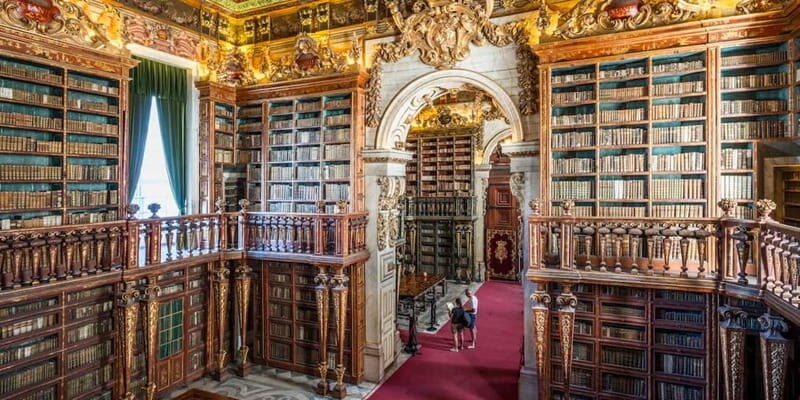 Private Guided Tour: Coimbra Best Of - Discovering Coimbra in Depth