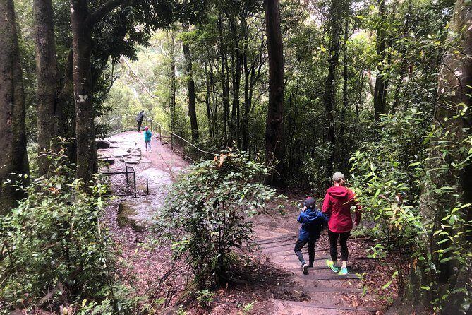 Private Guided Tour from Sydney to Blue Mountains National Park - FAQs