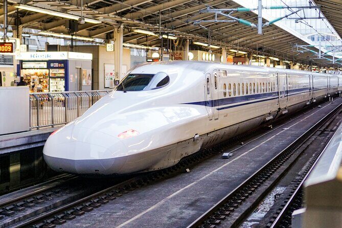 Private Guided Tour from Tokyo to Kyoto - What Makes This Tour Stand Out