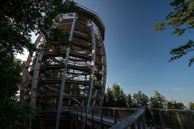 Private Guided Tour from Vienna to Hallstatt with Cable Car & Treetop in Gmunden - Exploring the Treetops: Baumwipfelpfad Salzkammergut