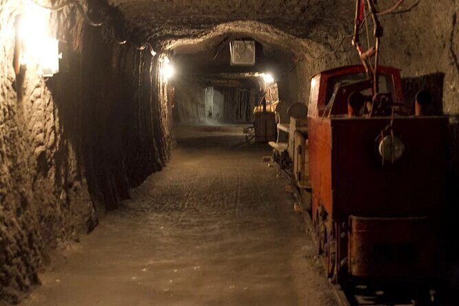 Private guided tour from Vienna to Hallstatt with Skywalk & Salt Mine Experience - Final Thoughts: Is It Worth It?