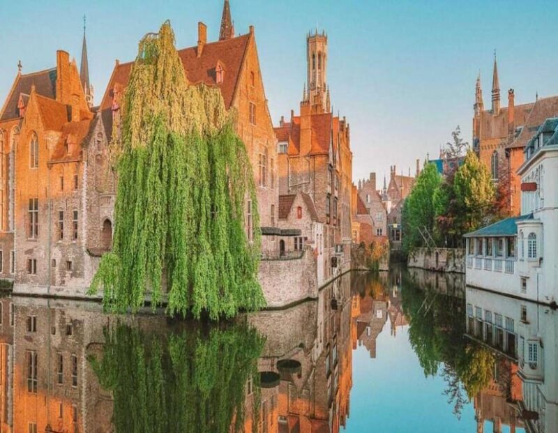 Private Guided tour Ghent and Bruges From Brussels - The Experience at a Glance