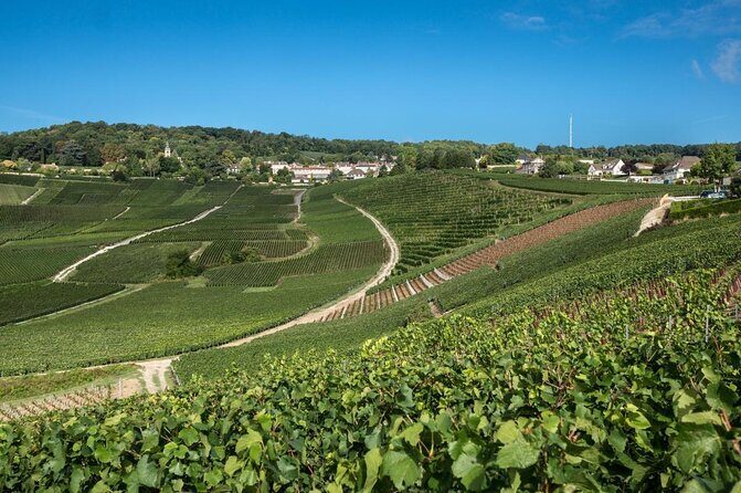 Private Guided Tour in Champagne from Paris with Moet&Chandon visit. - An In-Depth Look at the Private Champagne Tour from Paris