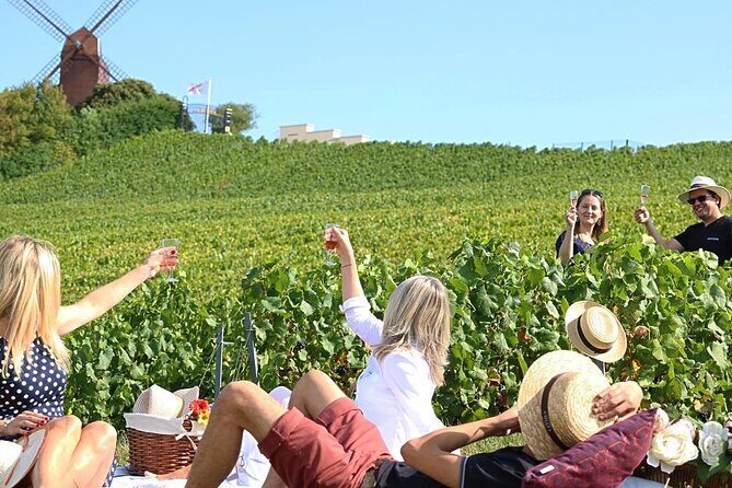Private Guided Tour in Champagne from Paris with Moet&Chandon visit. - The Itinerary in Detail