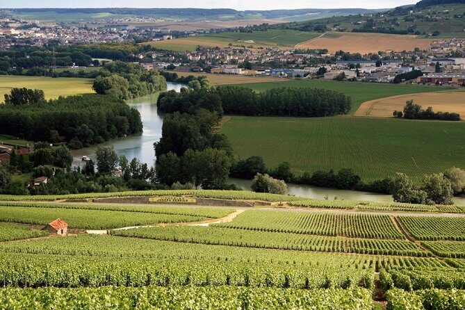 Private Guided Tour in Champagne from Paris with Moet&Chandon visit. - Who Is This Tour Best For?
