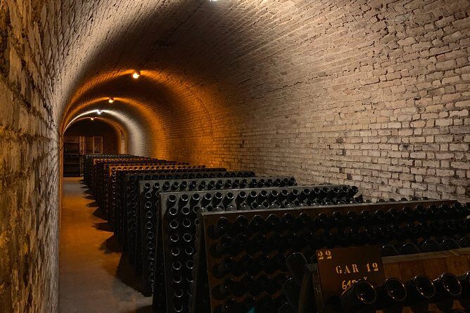 Private Guided Tour in Champagne from Paris with Moet&Chandon visit. - Final Thoughts