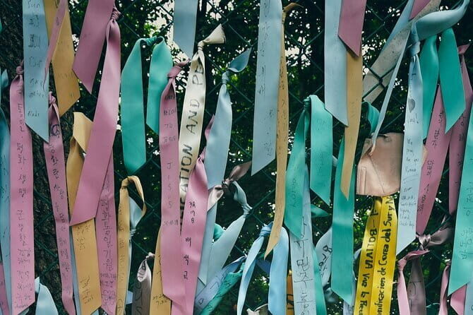 Private Guided Tour in DMZ with Lake (Optional Layover) - Practical Considerations: What to Expect