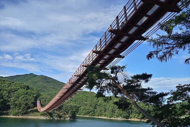Private Guided Tour in DMZ with Lake (Optional Layover) - The Value of This Tour