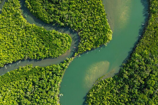 Private Guided Tour in Port Douglas and Surrounds - What Do the Reviews Say?