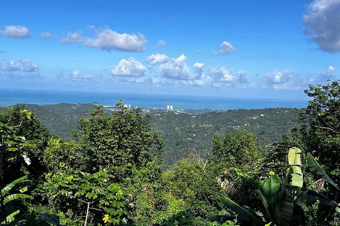 Private Guided Tour in Puerto Rico - A Deep Dive into the Experience